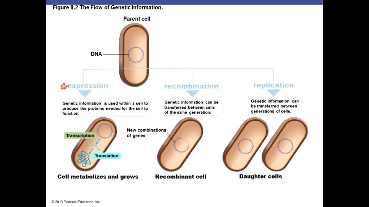 Chapter 8 Part 1 of 2 - YouTube