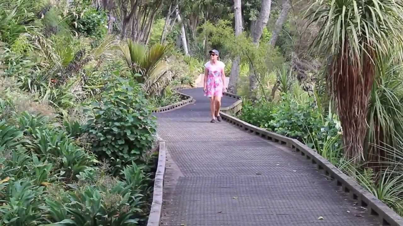 Hamilton City - Waikato River Trail loop - New Zealand - YouTube