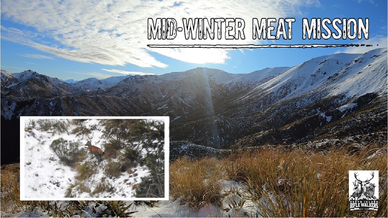 Long Range Deer Shooting - A Quick Hunt For Venison - YouTube