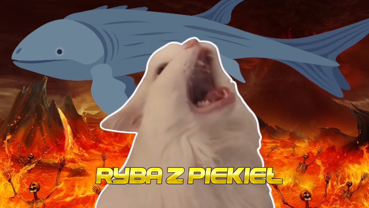 PROBLEMATICUS Czyli RYBA z PIEKIEŁ | Cat goes fishing 2/2 - YouTube