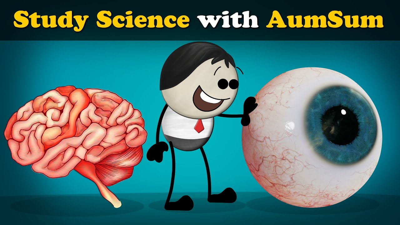 Learn Science with AumSum | #aumsum #kids #science #education #children ...