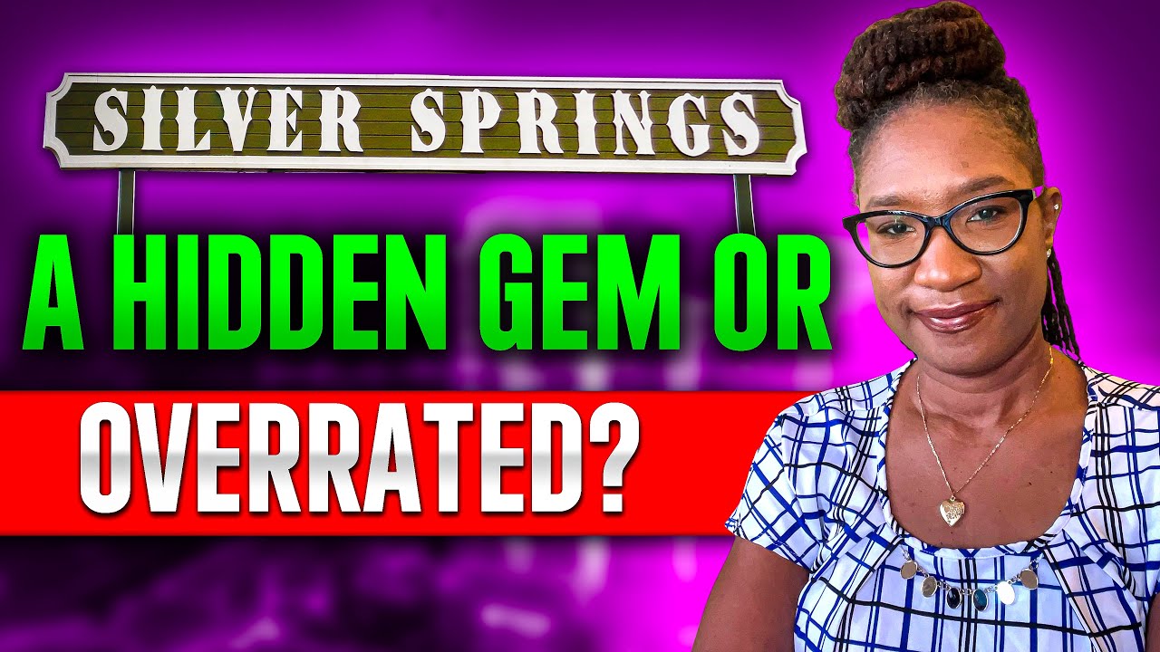 The Best Place to Live in 2023? Uncovering the Pros & Cons of Silver ...