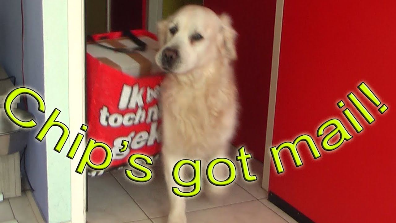 Package Time: From Luke in Japan (Lukemorse1) - YouTube