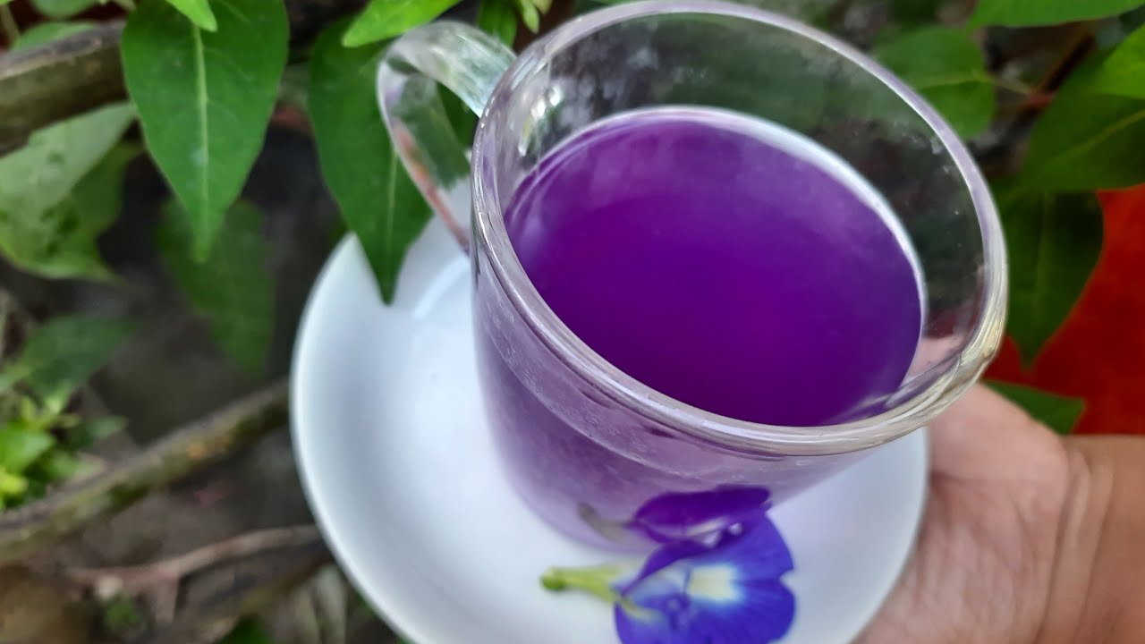 Butterfl Pea Flower Tea!!Magic Tea Recipe/অপরাজিতা ফুলের চা😋😋 - YouTube