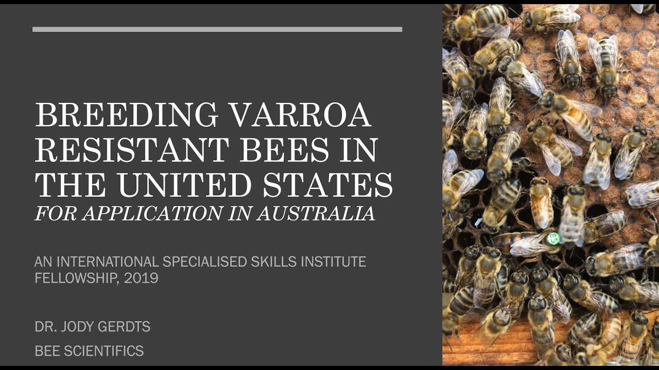 Breeding Varroa Resistant Bees in the United States for Application in ...