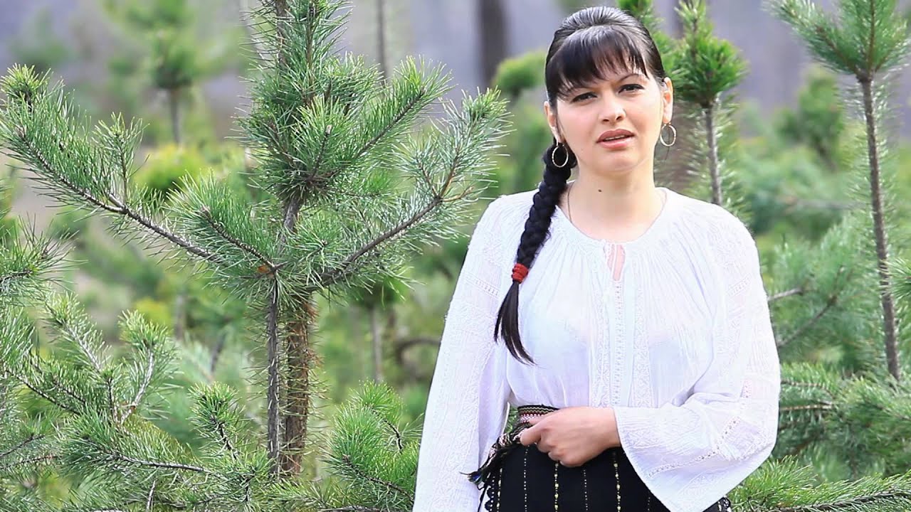 Alina Balaceanu si Formatia Dinoisverna - Vreau să uit nană de tine ...