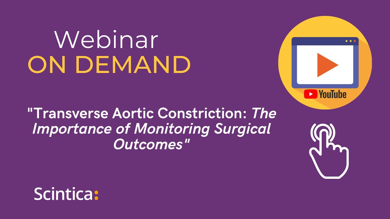 Transverse Aortic Constriction The Importance of Monitoring Surgical ...