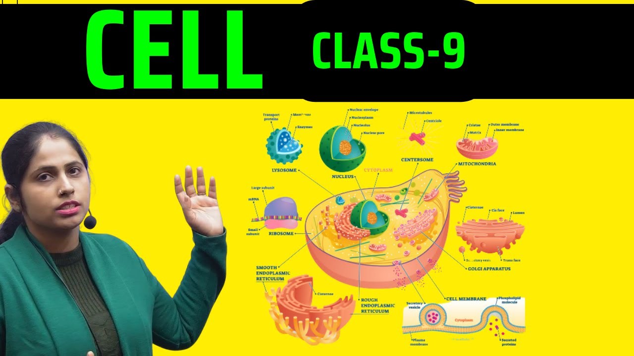 Cell @The Fundamental Unit of Life Class 9 | Biology Class 9th | CBSE ...