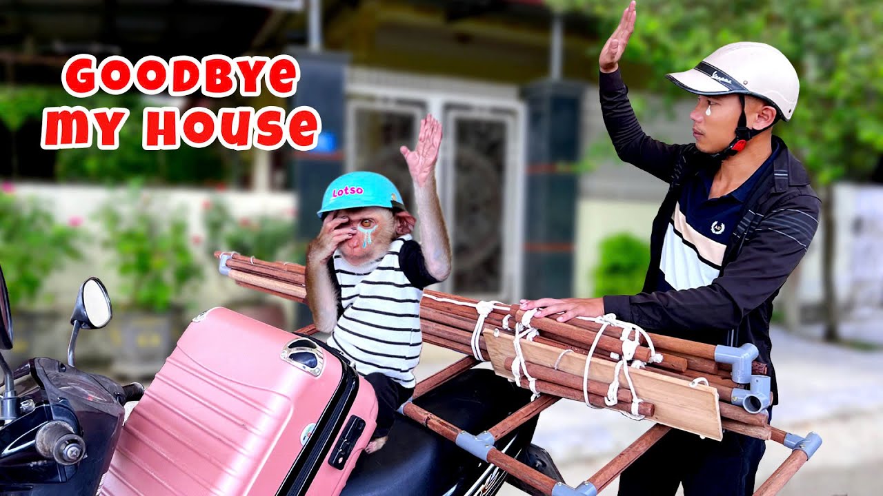 Goodbye dear home - YouTube