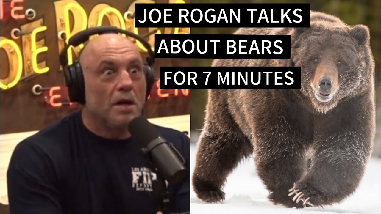 Joe Rogan Talks About Bears For 7 Minutes - YouTube