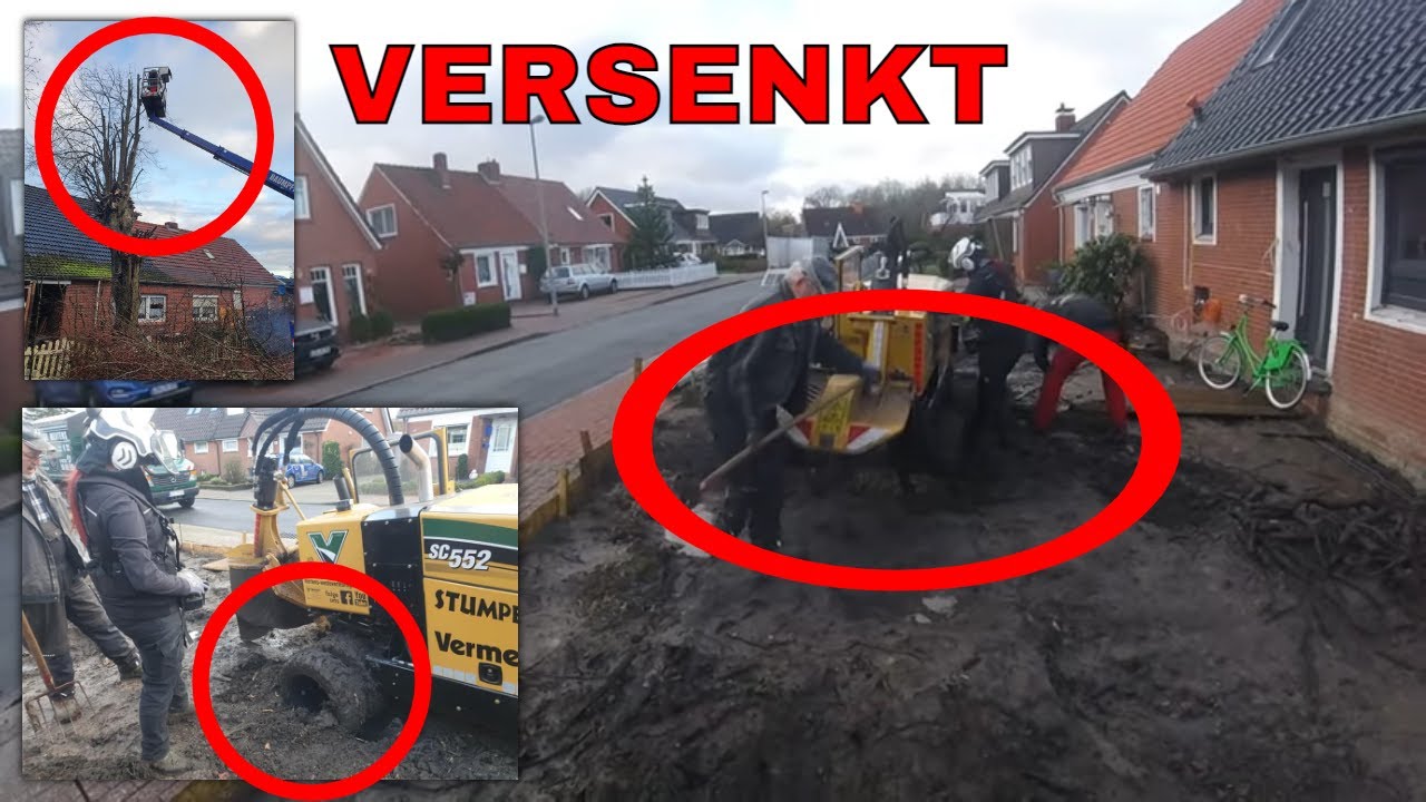 Treffer versenkt | Baumpflege Mertens - YouTube