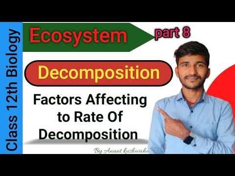 Factors Affecting to Rate Of Decomposition| Ecosystem class12th biology ...