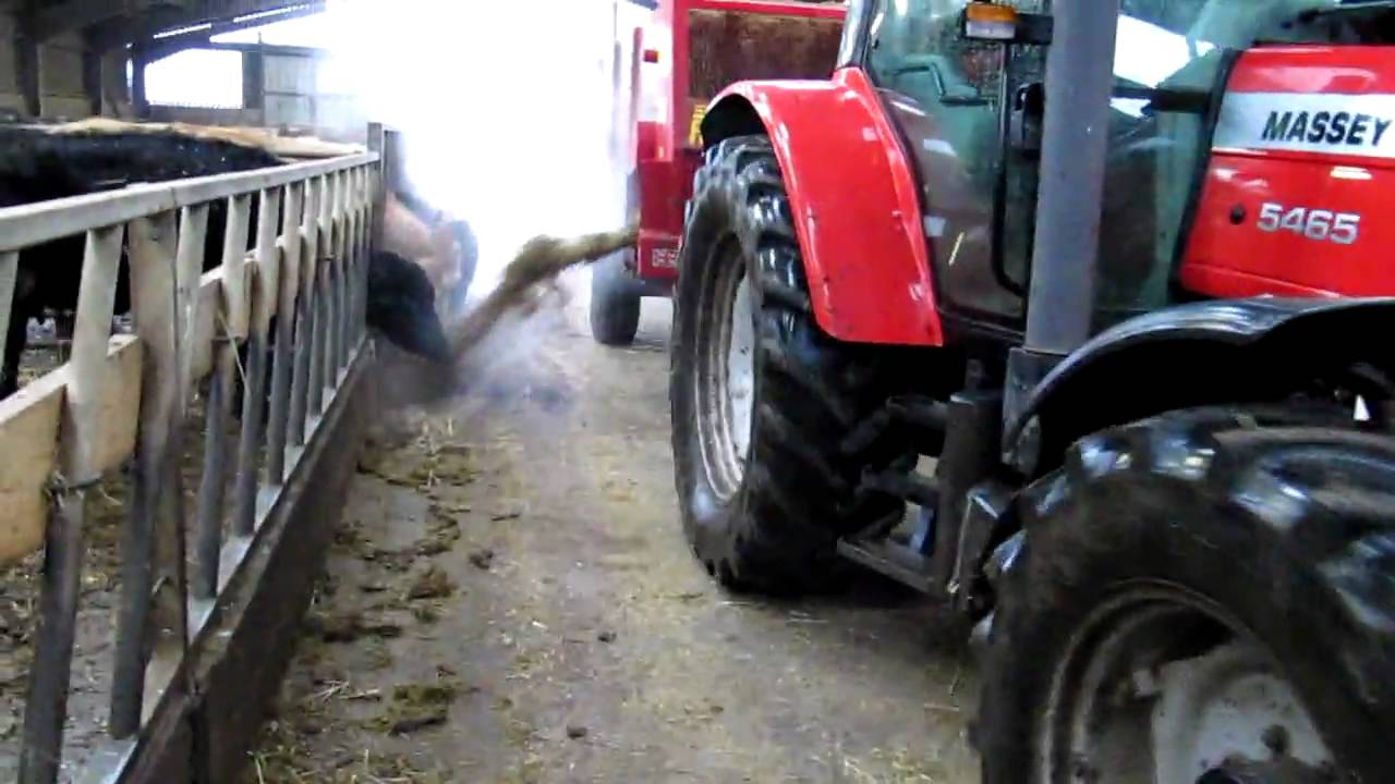 Foster S750 Forage Box Feeding Happy Cows - YouTube