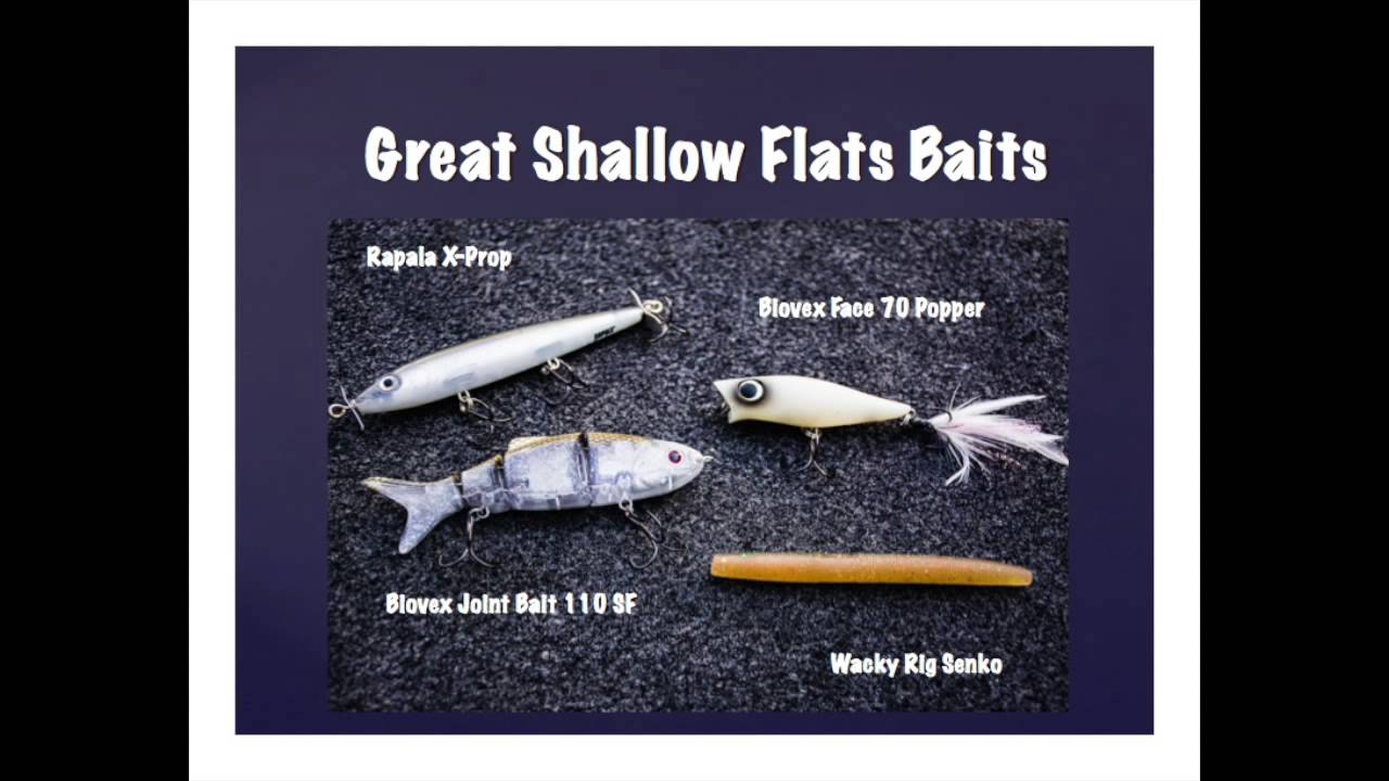 Webinar: Locating and Catching Northern Smallmouth Bass with Josh ...