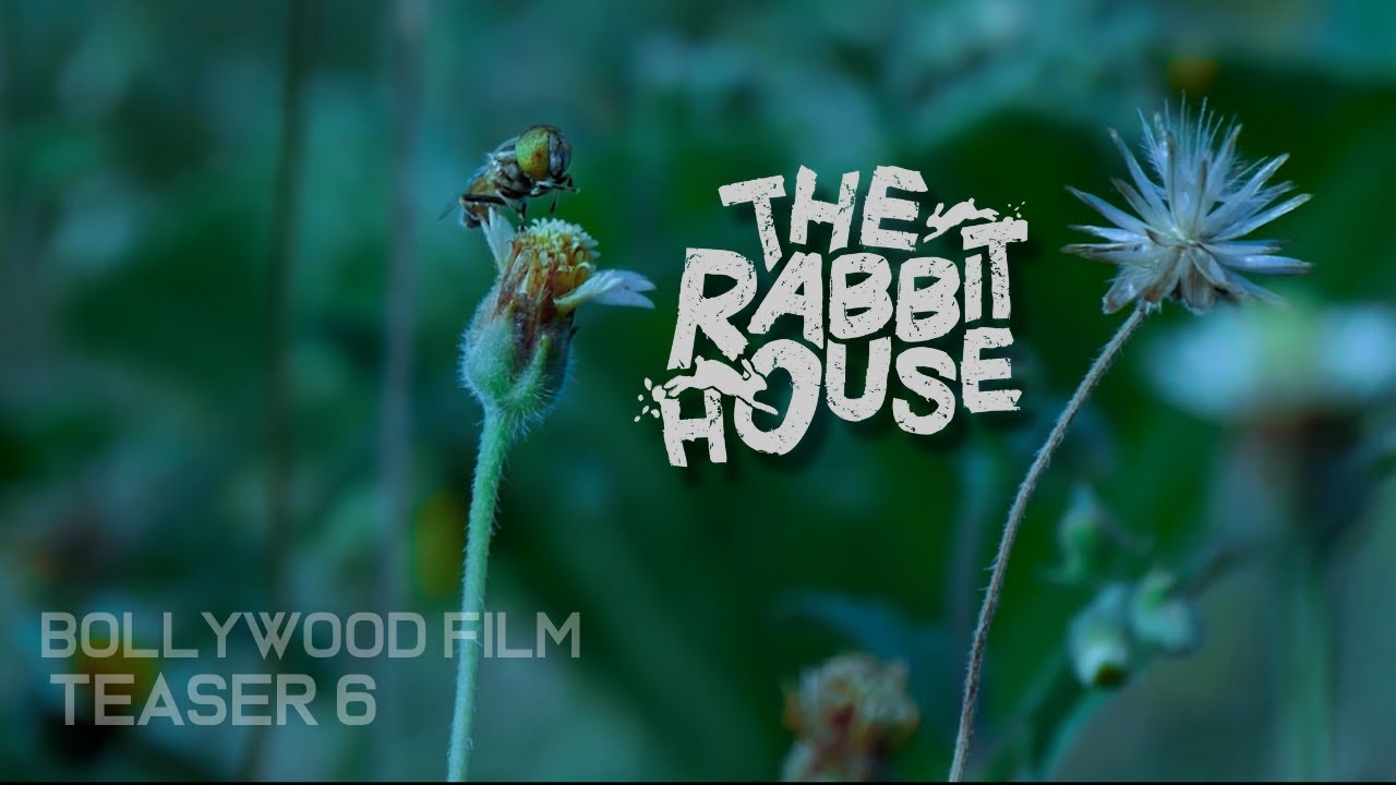 The Rabbit House | Official Teaser 6 | Upcoming Hindi film | Bollywood ...