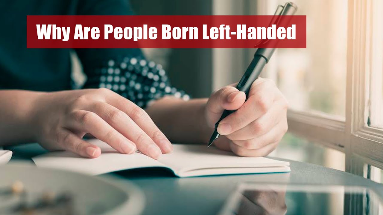 The Left-Handed Gene: An Intriguing Neuroscientific Discovery - YouTube