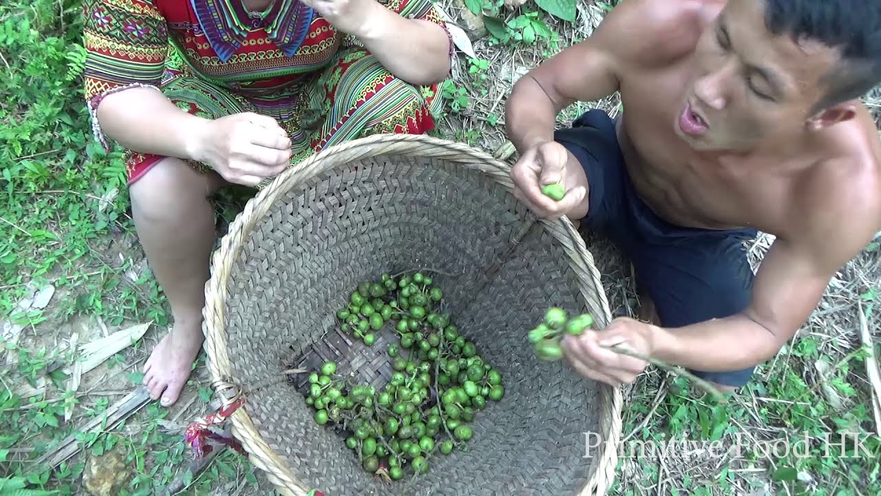 Primitive Skills - Abundant food Pick wild fruits by the river ...