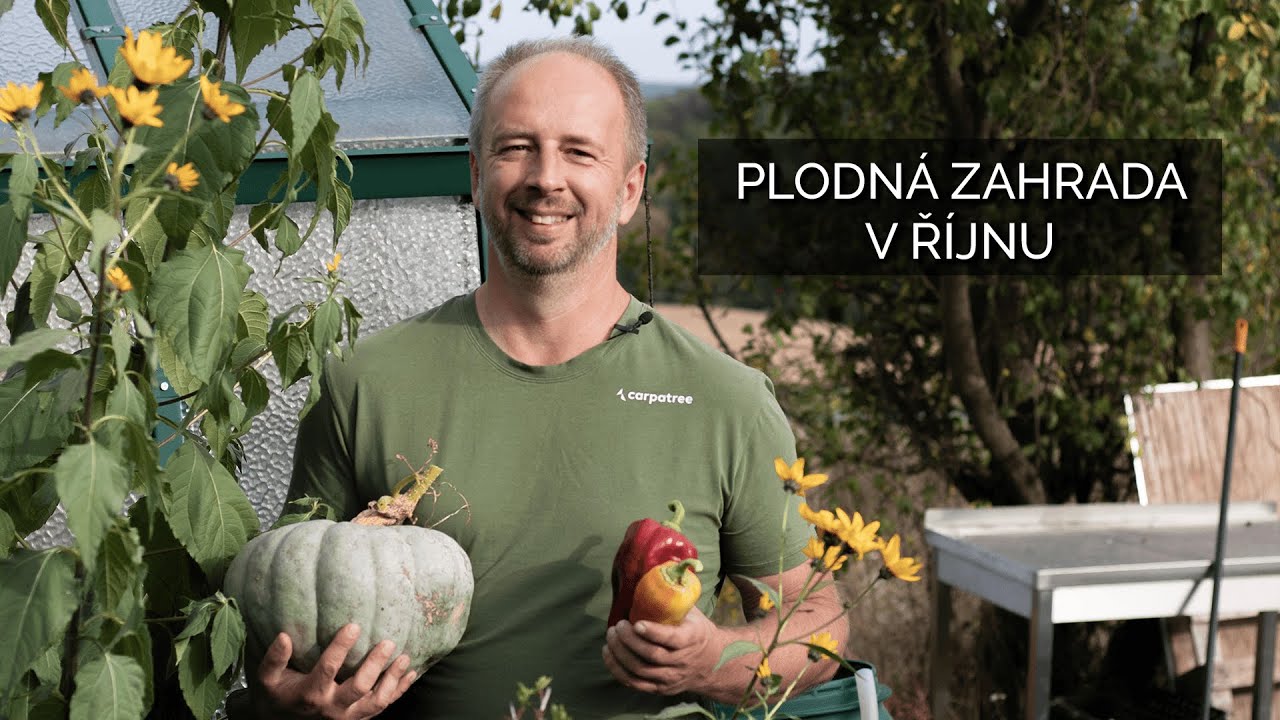 Plodná zahrada v říjnu, sklizeň plodové i jiné zeleniny - YouTube