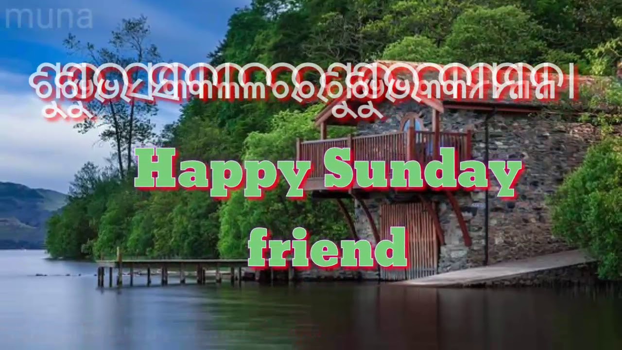 Whatsapp status video।। Happy Sunday।। status video।। Good morning ...