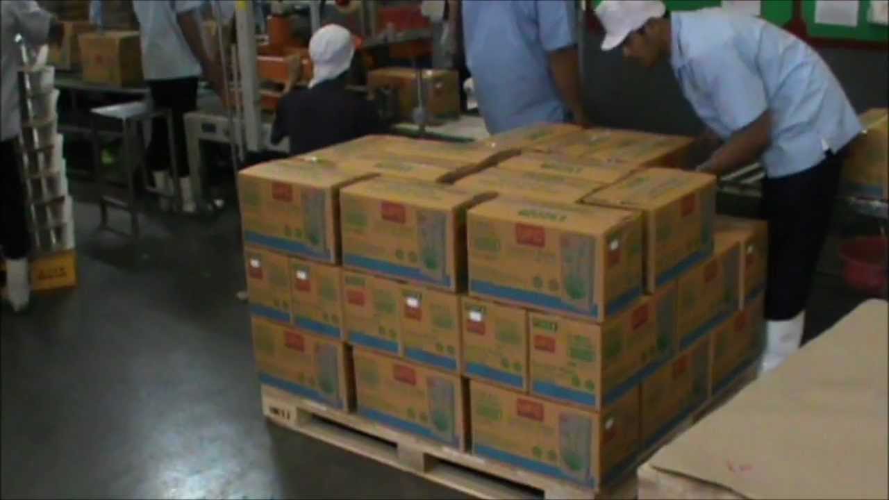 MiniKey TIJ thermal inkjet printer with Universal Food Public Company ...