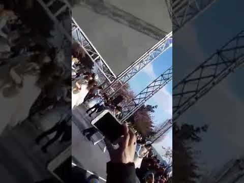 Elsever reqs qrupu. 31.12.2017.bulvar kanserti