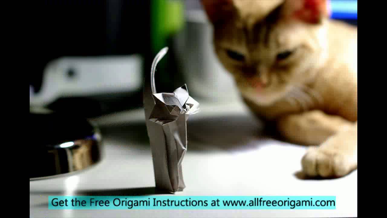 origami cat for beginners - YouTube
