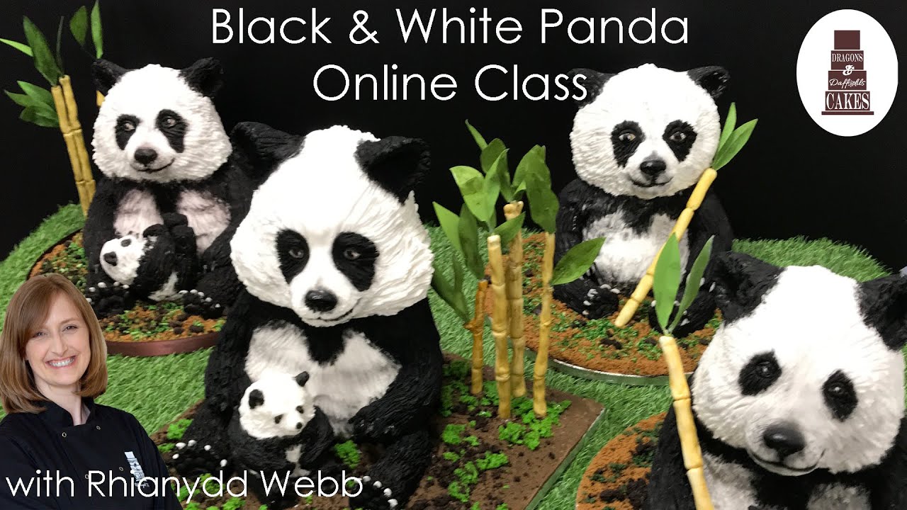 black and white panda sculpted cake advert (AD) online class - YouTube