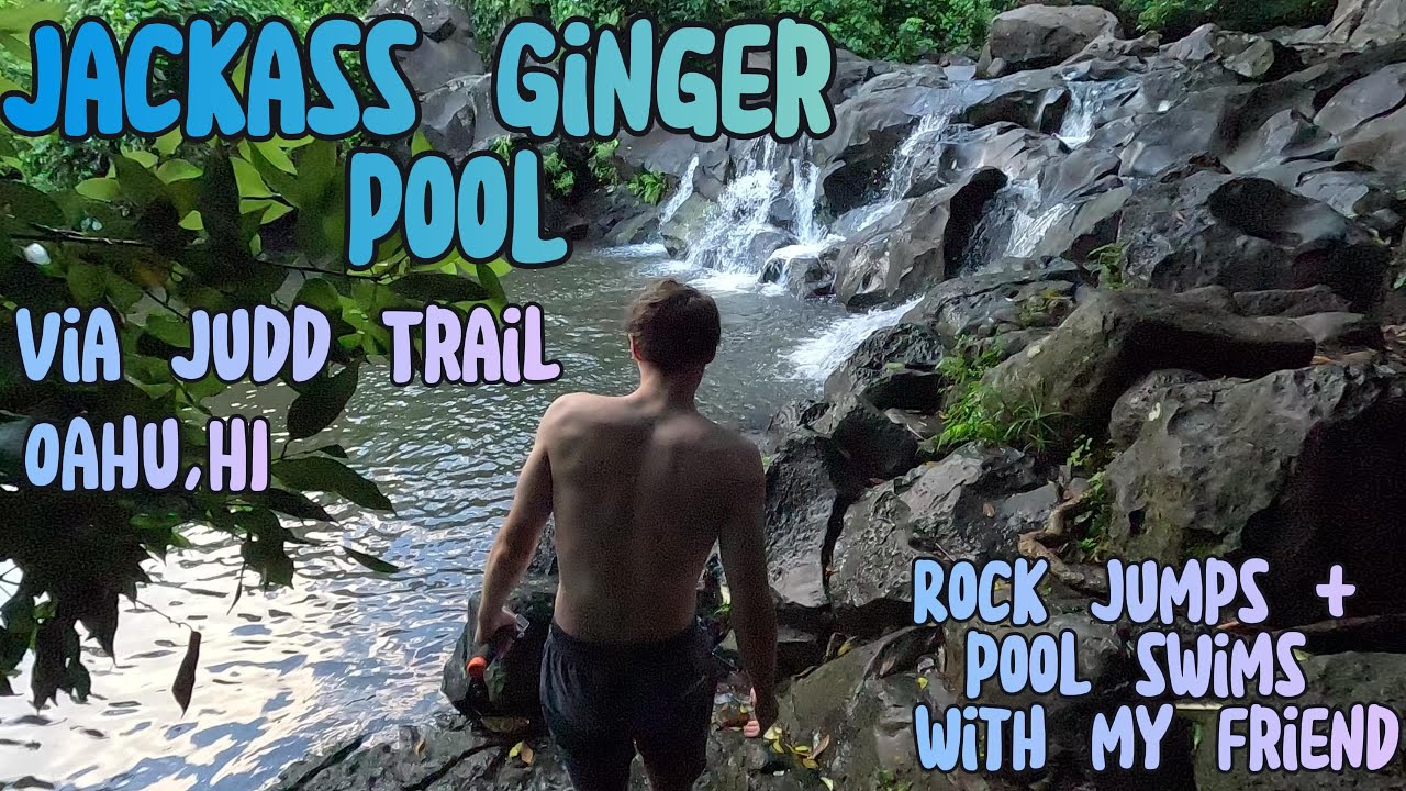 Jackass Ginger Pools! Jump and Swim Oahu Hawaii - YouTube