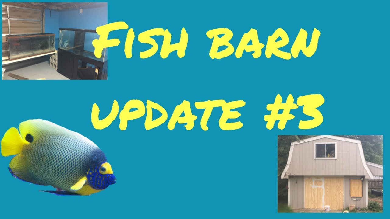Fish room build update (Fish Barn Update #3) - YouTube