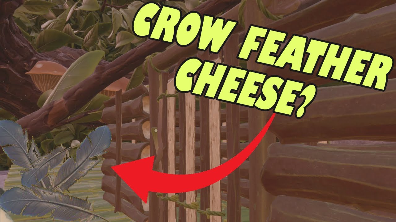 GROUNDED TIPS - BEST WAY TO GET CROW FEATHERS - Building a Crow Feather ...