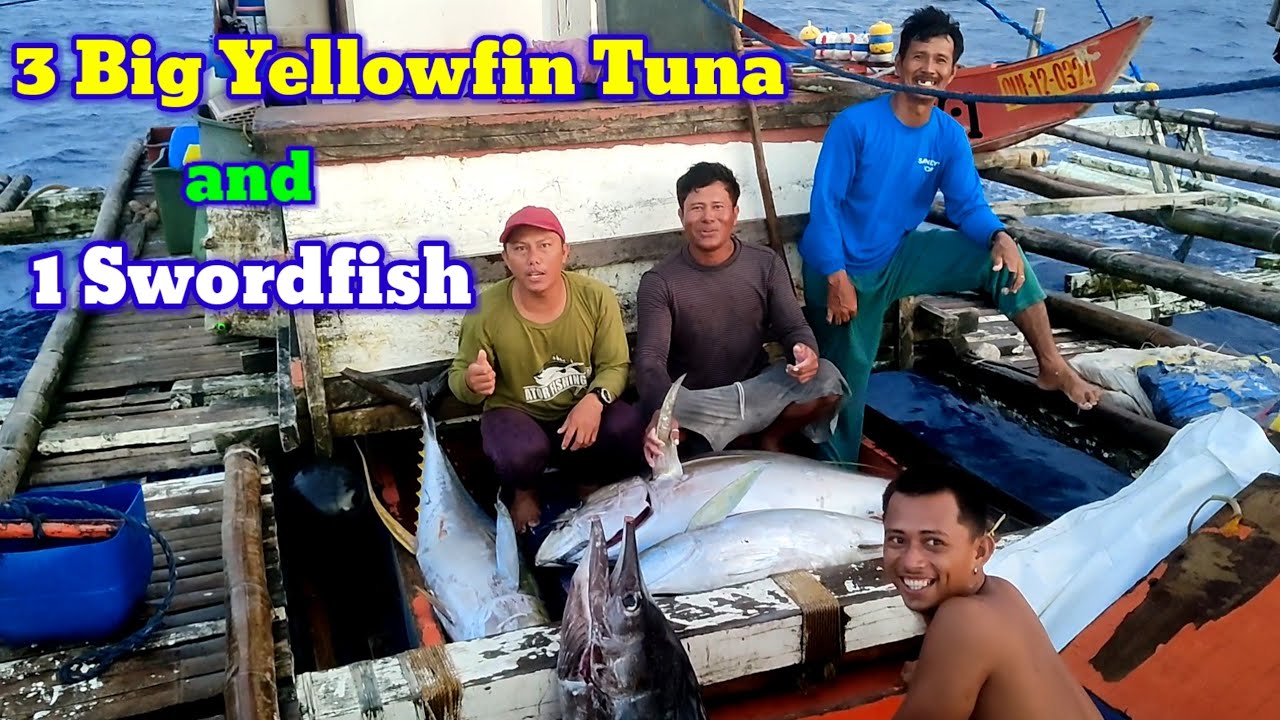 Tuna Season Ep1 part8 || 3 Big Tuna plus 1 Sword Fish - YouTube