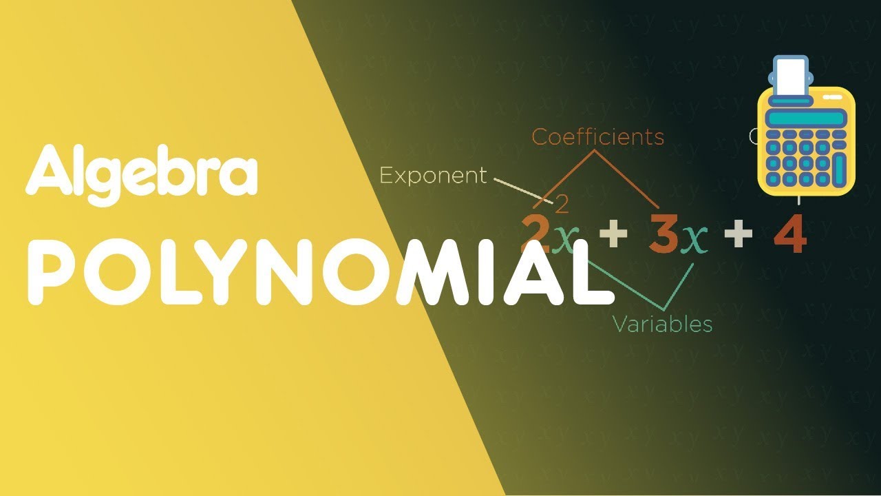 What Are Polynomials? | Algebra | Maths | FuseSchool - YouTube