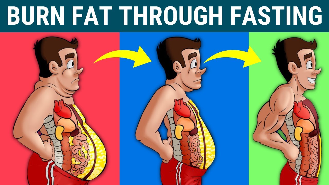 THIS Is When Fat Burning Starts With Intermittent Fasting! | Weight ...