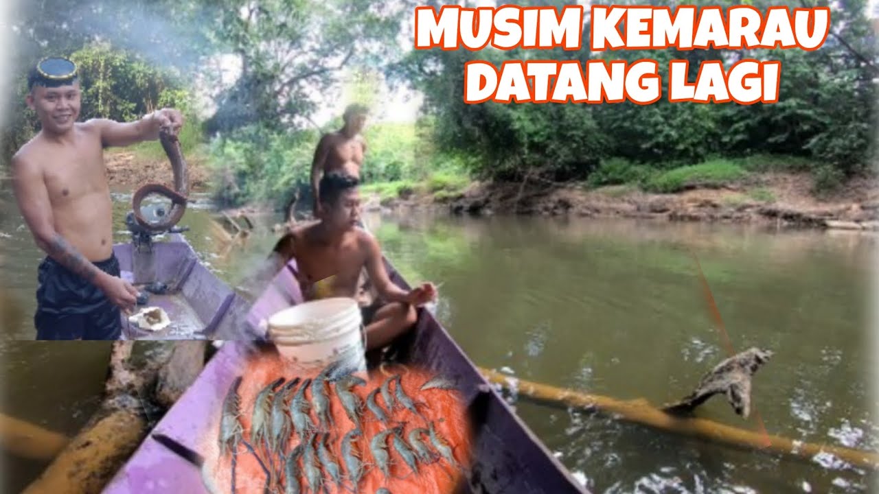 Rezeki menyelam sungai Entabai.. - YouTube
