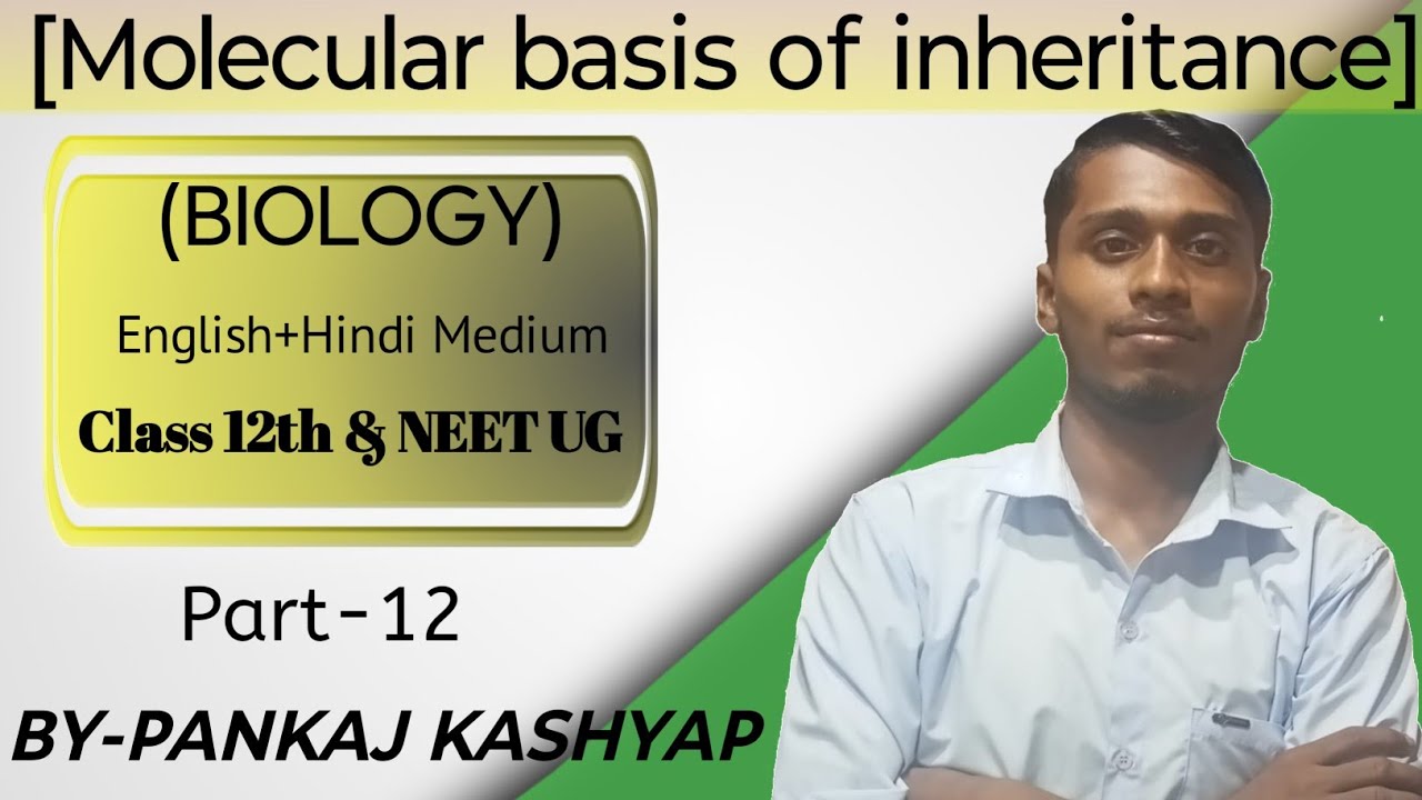 Part-11 Molecular basis of inheritance(class 12th & NEET UG)English ...