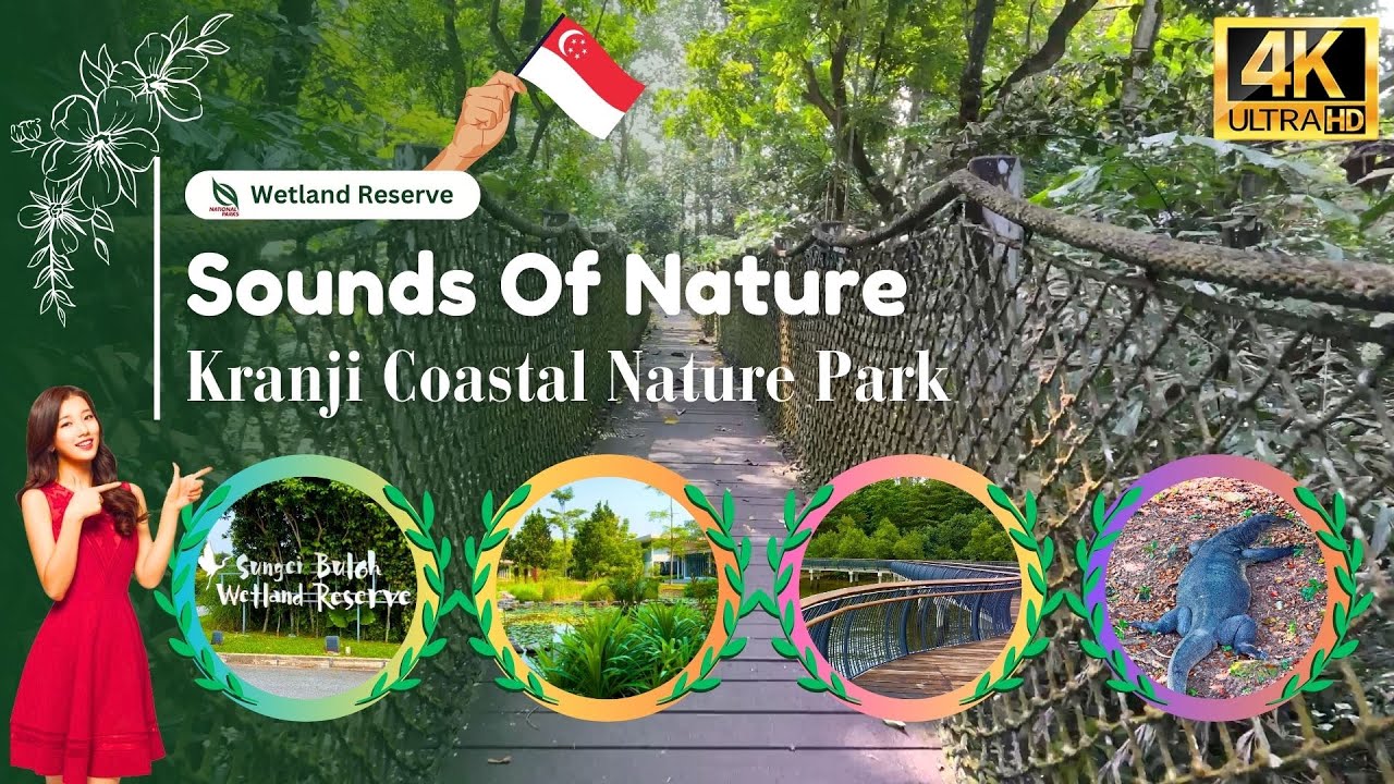 Immerse In The Sounds Of Nature At Sungei Buloh Kranji Coastal Nature ...