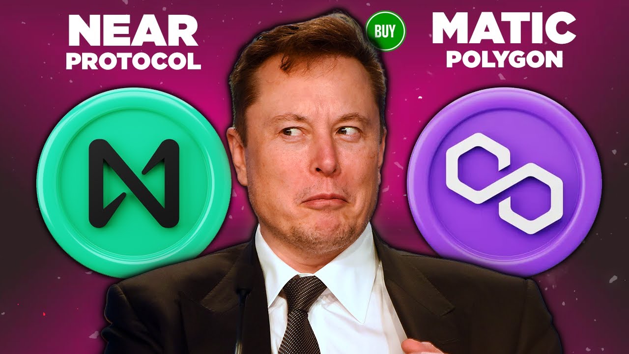 Matic Polygon VS. Near Protocol : Duas Criptomoedas Promissoras! - YouTube