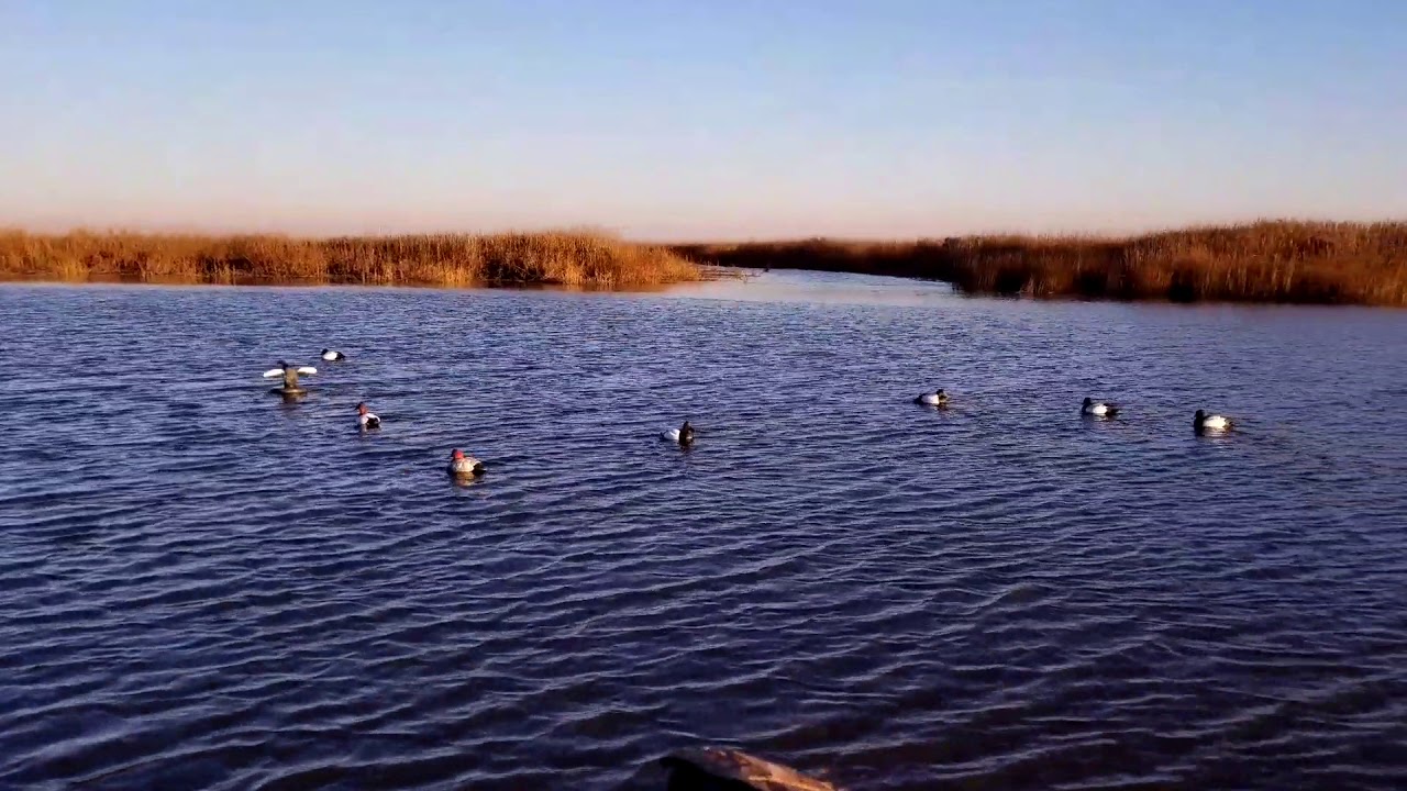 Sampson Island - YouTube