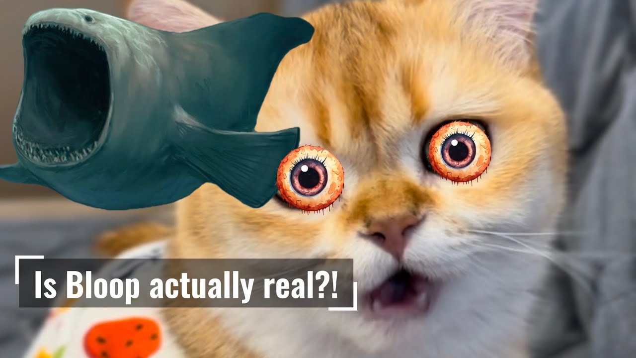 Is Bloop actually real?! - YouTube