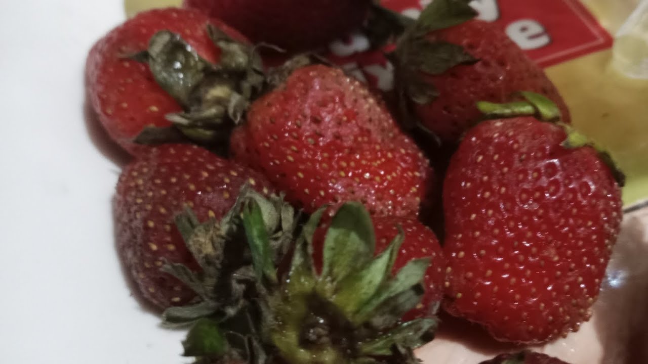 stobary shake - YouTube