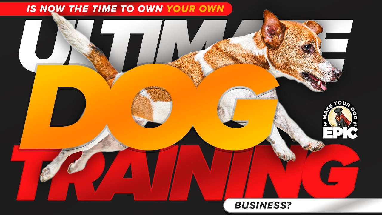 Dog Training Franchise | Any Advice To Give To Anyone Who Want To Open ...