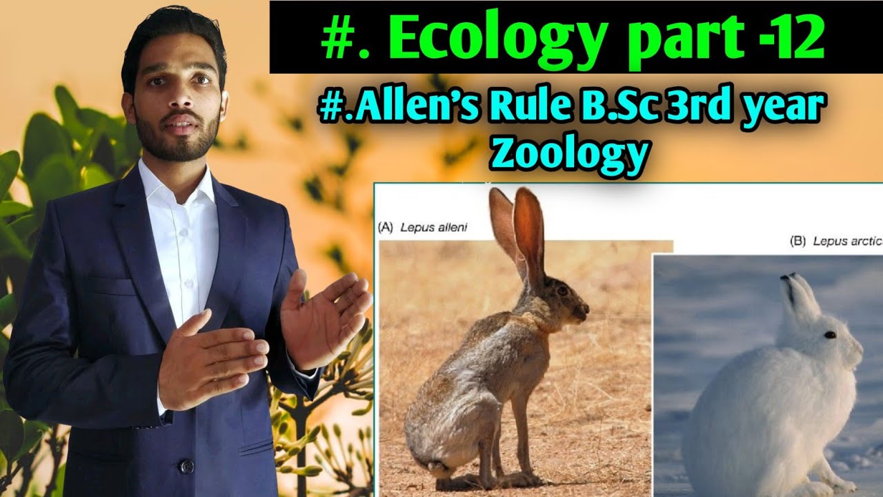 Allen's Rule || Ecology part-12 || B.Sc third year Zoology 3rd year ...