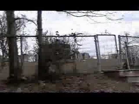 Experiment #2 Self by Fred L. Taulbee Jr. - YouTube