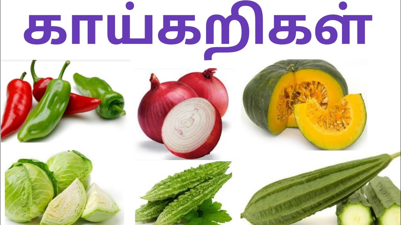 காய்கறிகள்🌽 vegetables name in Tamil 🍆 learning for kids #learning # ...