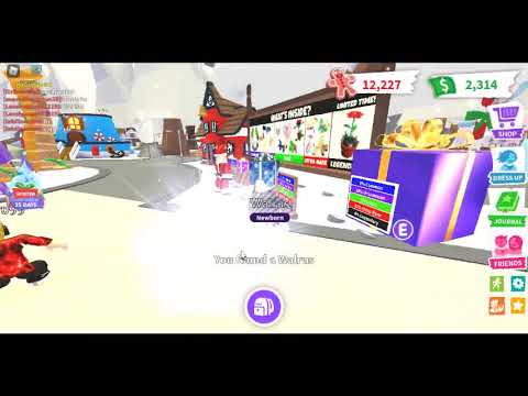 Opening 1 Walrus Box! (ROBLOX ADOPT ME) - YouTube