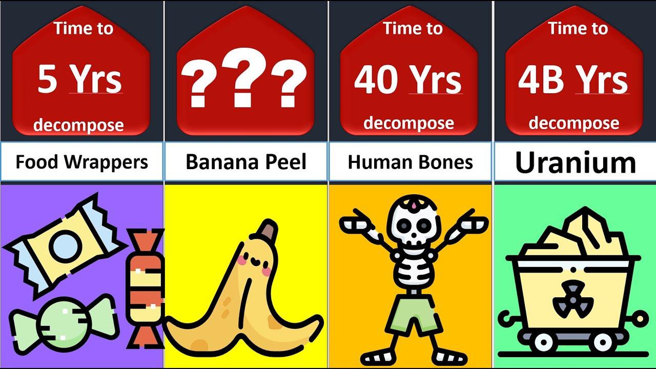 Timeline How long does it take to Decompose.......... - YouTube
