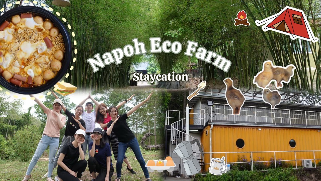 We stayed a night in a farm | Alor Setar Kedah Napoh Eco Farm ...