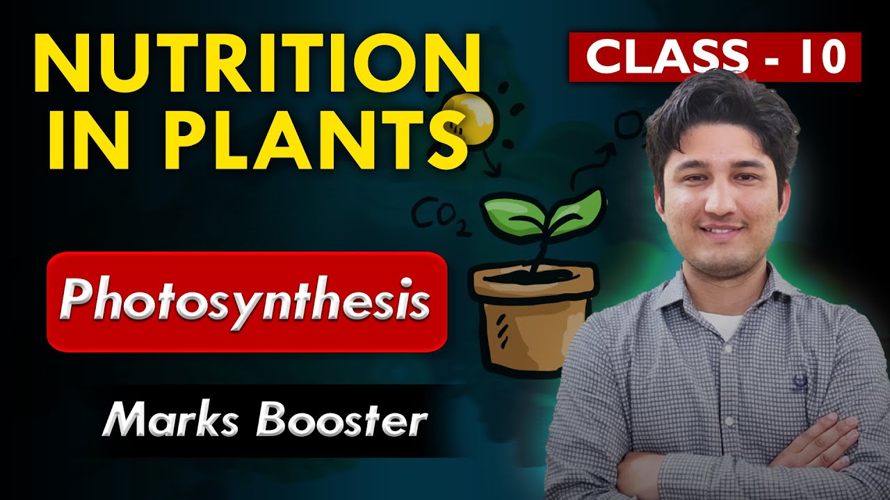 Nutrition In Plants | Photosynthesis | Class 10 Biology #cbse #science ...