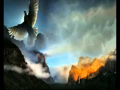 CHAYANNE - La Playa - YouTube