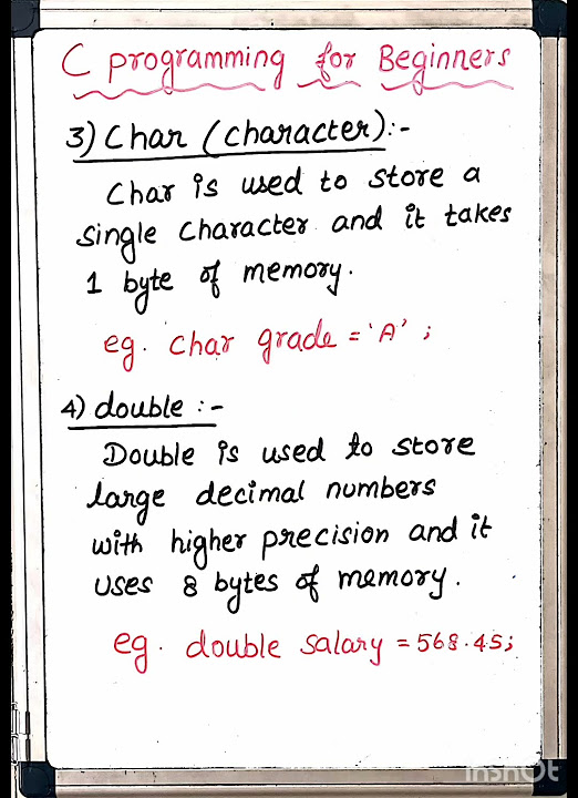 Primitive Data types in C Programming - YouTube